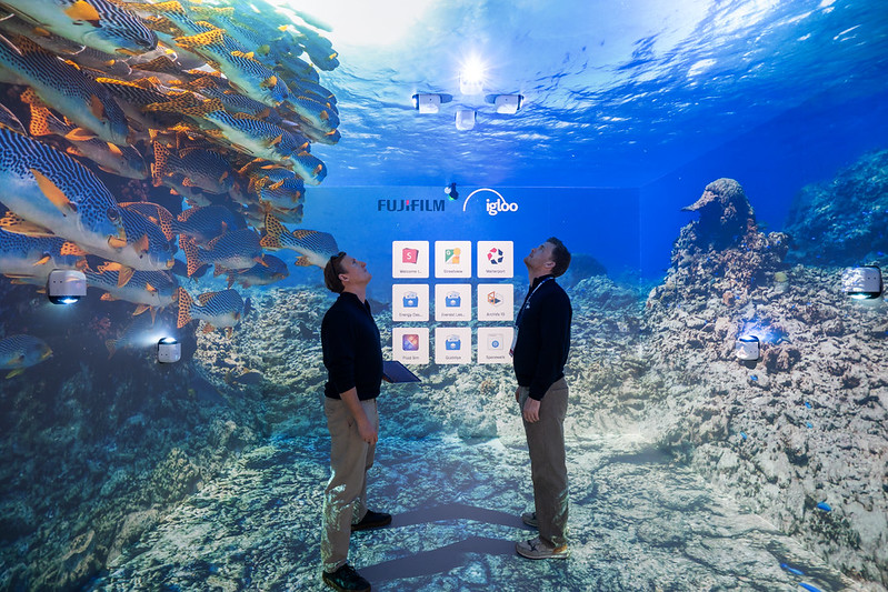 Transforming Any Space: A Deep Dive into the Igloo Immersive Media ...