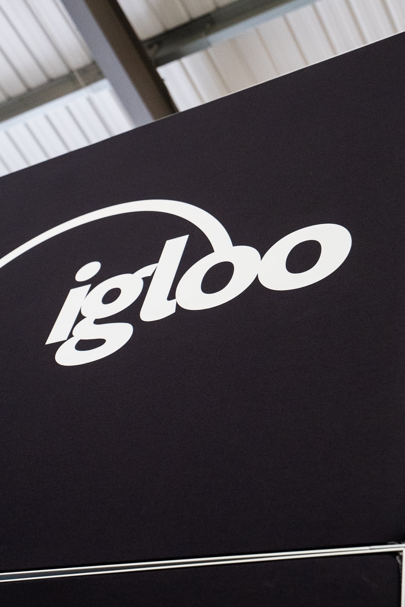 Guess who's back? | Igloo Vision