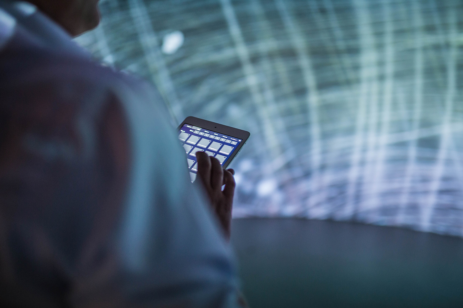 Software Technology Igloo Vision